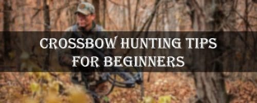 8 Most Important Crossbow Hunting Tips For Beginners - Marksman HQ